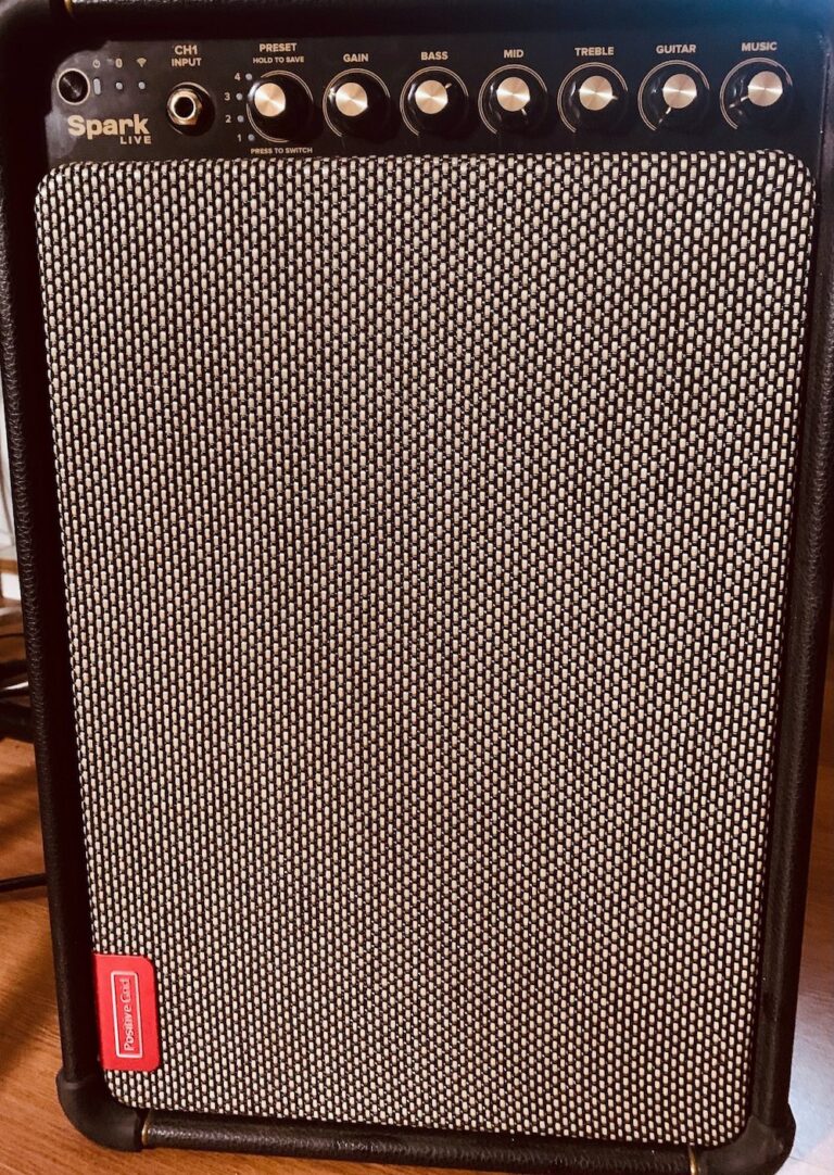 Best Vocal Amps for Singers – Gig-Ready Amps & PA Speakers